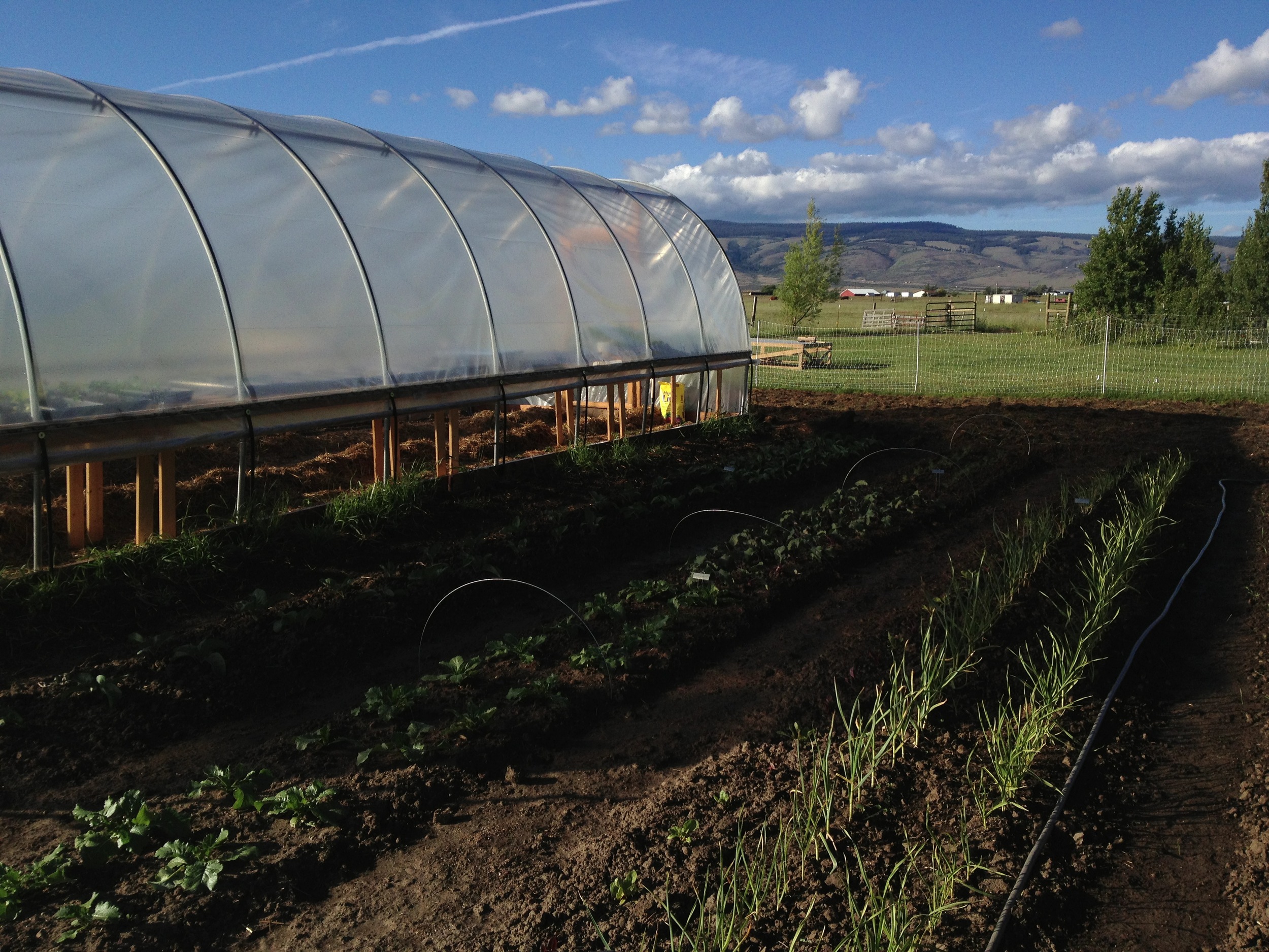 From the Farm to the Table: Coming Business, Run by Locals, Announces a ...