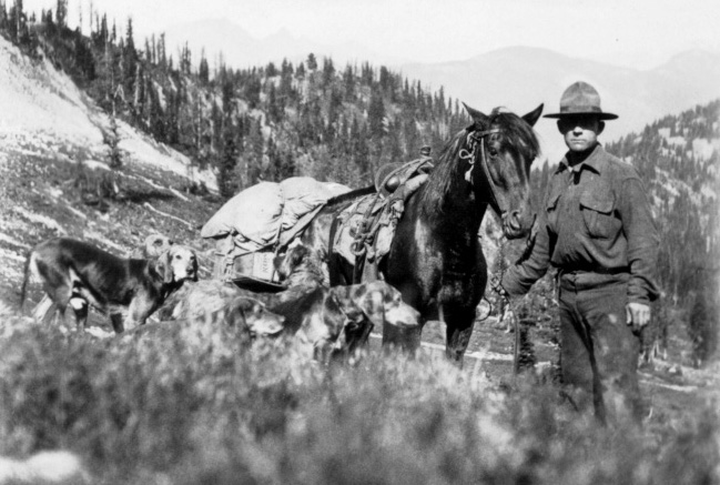 Snoqualmie Valley History: Forest Ranger Cougar Pete - Living Snoqualmie