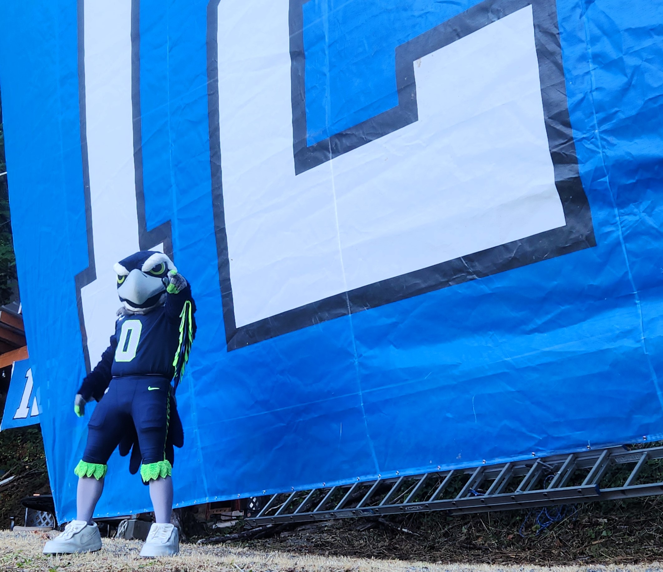 Raising the 12th Man Flag: A Beacon of Seahawks Pride and Community ...