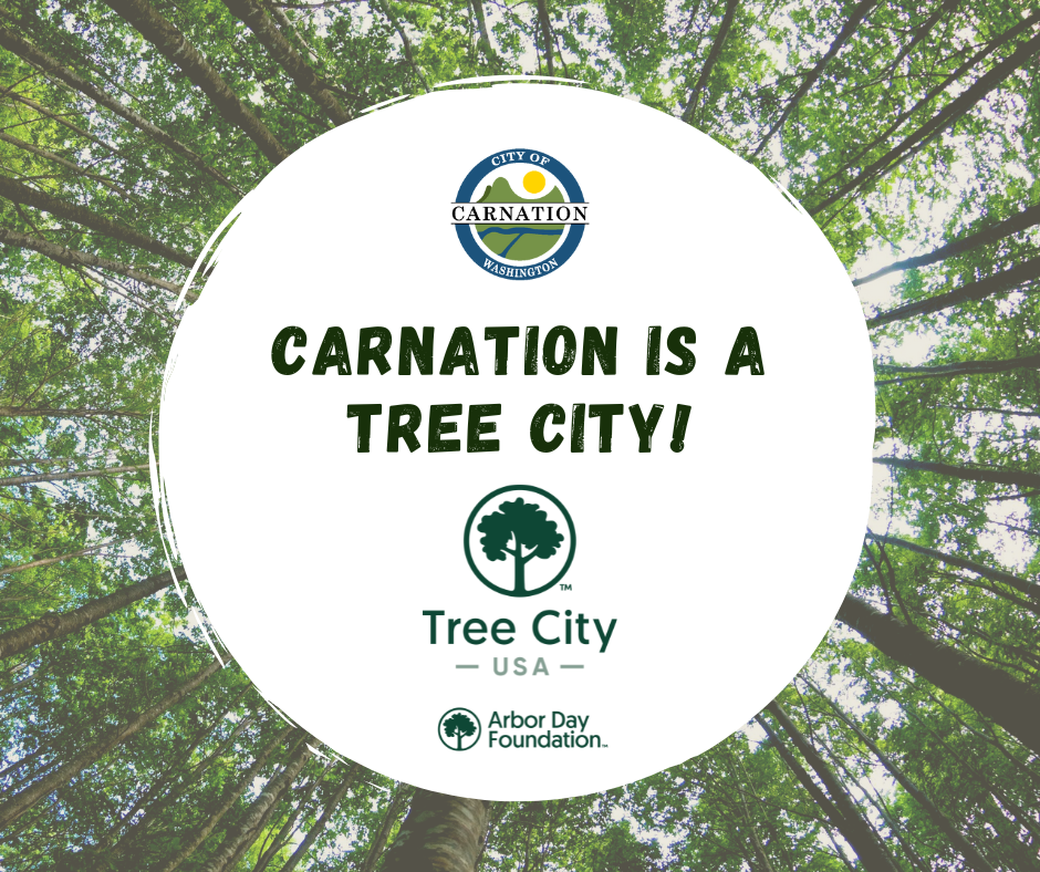 The City of Carnation Joins the Ranks of 2025 Tree City USA Communities ...