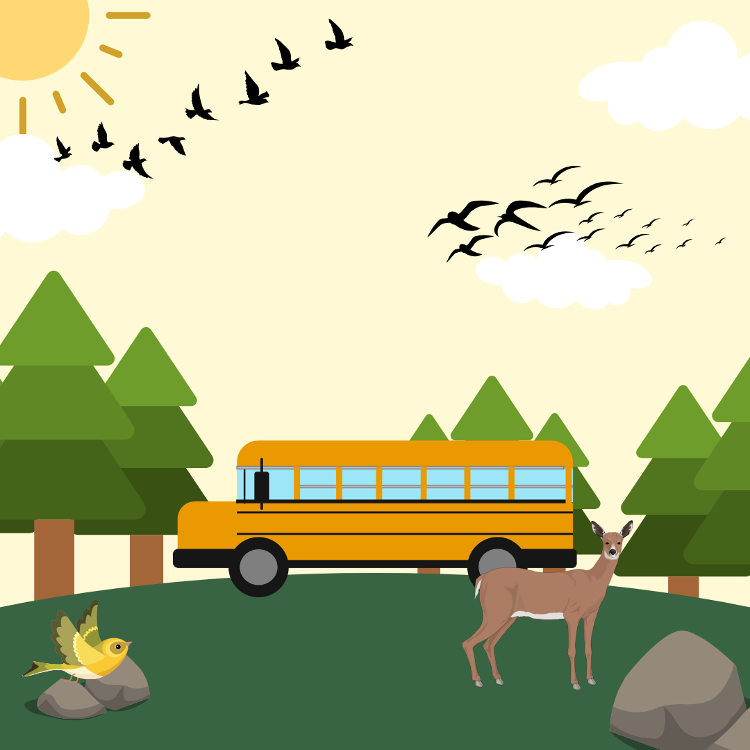 Snoqualmie Valley School Buses to Help Power the Grid in PSE’s New ...